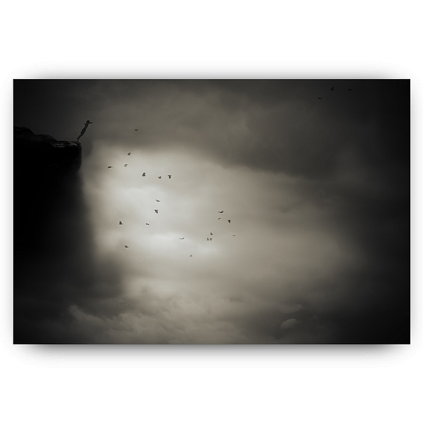 Vlieg als een vogel - Sfeer aan de Muur