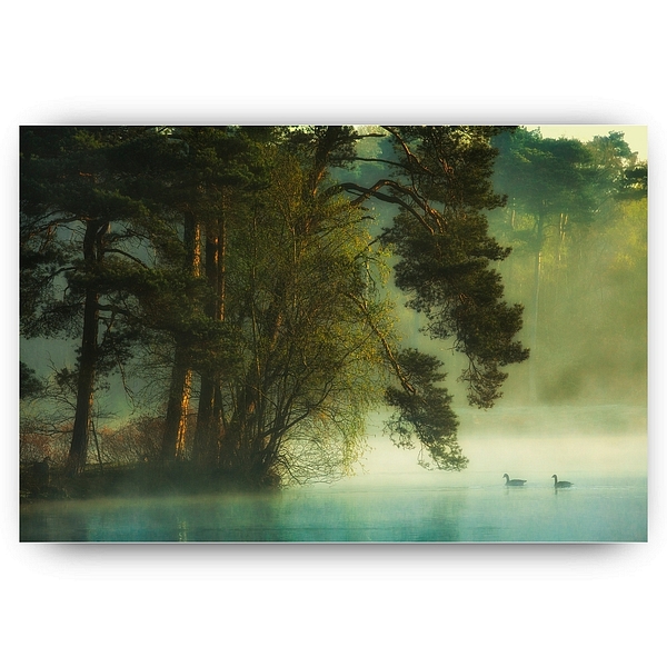 Nederlands ven - Bilder an de Wand