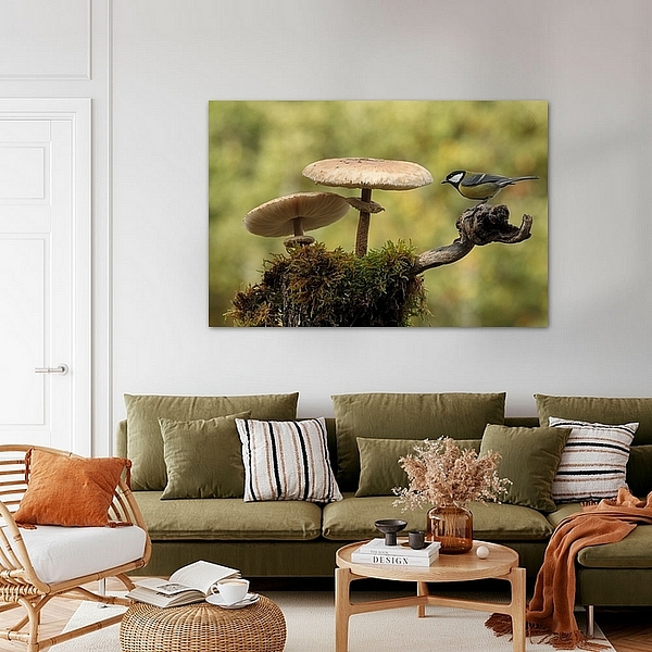 Mijn kleine stukje van de wereld - Sfeer aan de Muur
