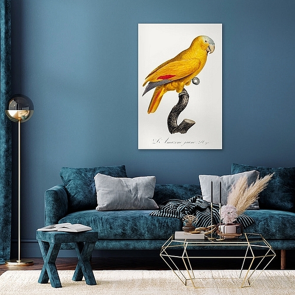 Gele klassieke papegaai | Vintage prints - Sfeer aan de Muur